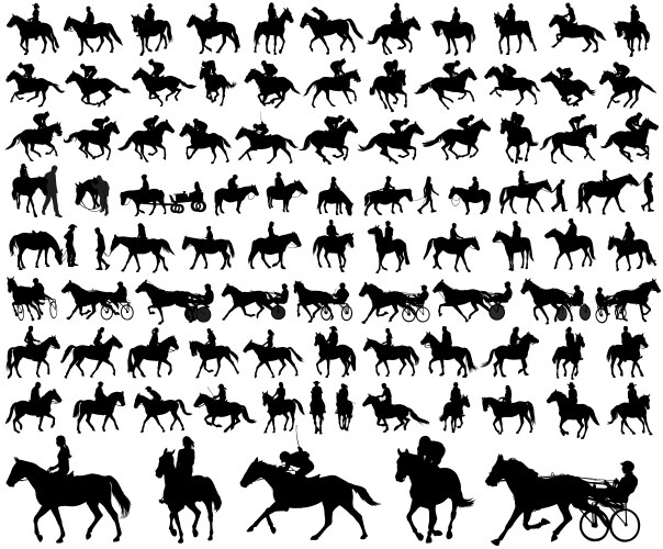 Horses Royalty Free Vector Image - VectorStock