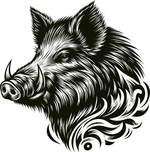 Wild boar Royalty Free Vector Image - VectorStock