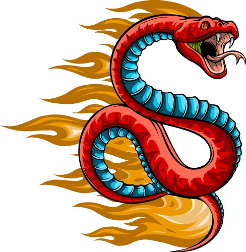 Colorful hand drawn of snake Royalty Free Vector Image