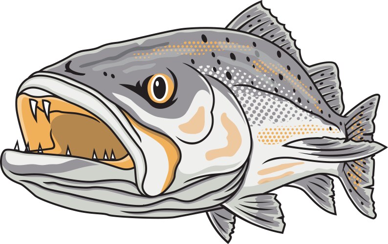 Speckled Trout Fishing Logo Royalty Free Vector Image
