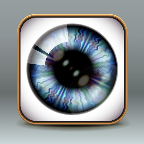 Eye button Royalty Free Vector Image - VectorStock