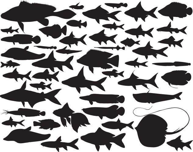Fish Outline Vector Images (over 110,000)
