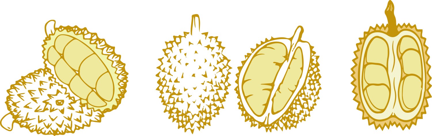 Durian Vector Images (over 4,000)
