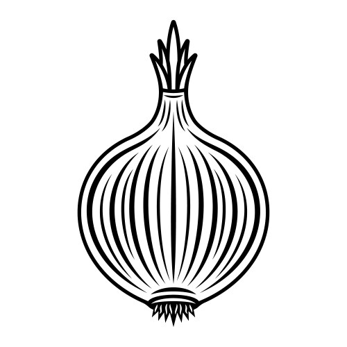 Onion outline icon Royalty Free Vector Image - VectorStock