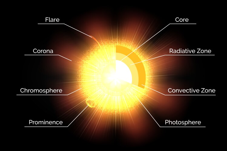 Structure of the sun Royalty Free Vector Image
