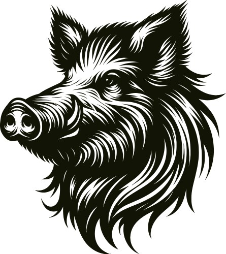 Wild boar Royalty Free Vector Image - VectorStock