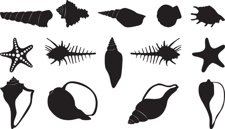 Seashells Vector Images (over 36,000)