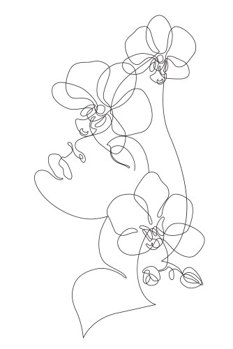 Minimal woman face Royalty Free Vector Image - VectorStock