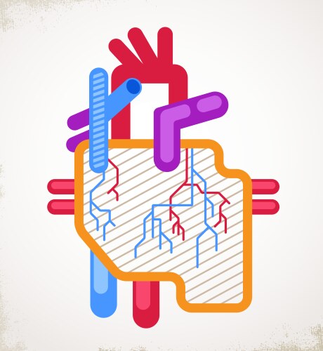 Heart health Royalty Free Vector Image - VectorStock