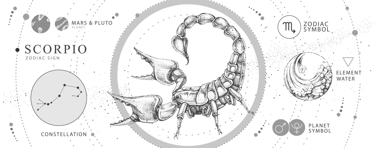 Magic witchcraft card with scorpio zodiac sign Vector Image