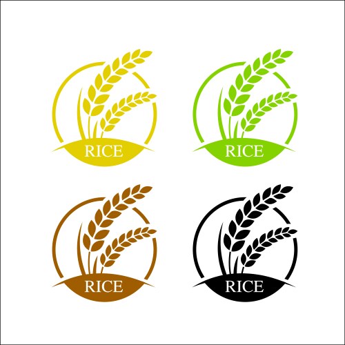Rice products flat infographics Royalty Free Vector Image