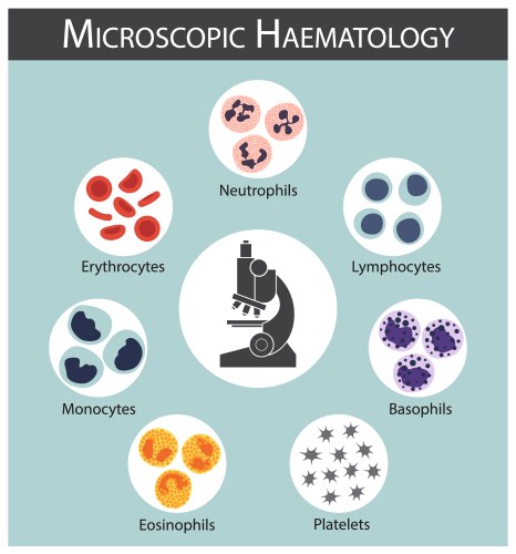 Hematology Vector Images (over 4,900)