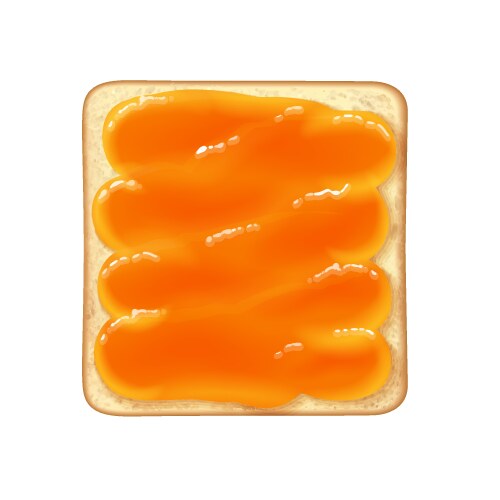 Toast realistic Royalty Free Vector Image - VectorStock