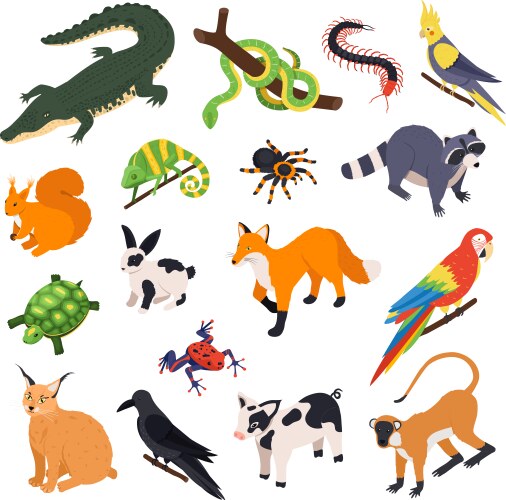 Exotic Vector Images (over 440,000)