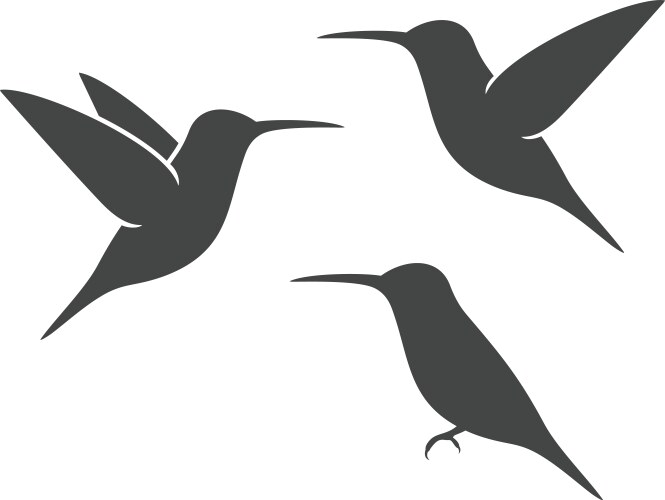 Hummingbird Vector Images (over 9,300)