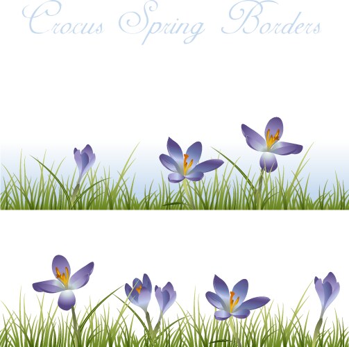 Floral Border Vector Images (over 350,000)