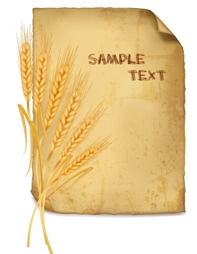 Wheat Border Wheat Ear Dividing Line Border PNG Images | PSD Free