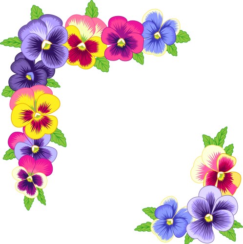 Pansy Royalty Free Vector Image - VectorStock