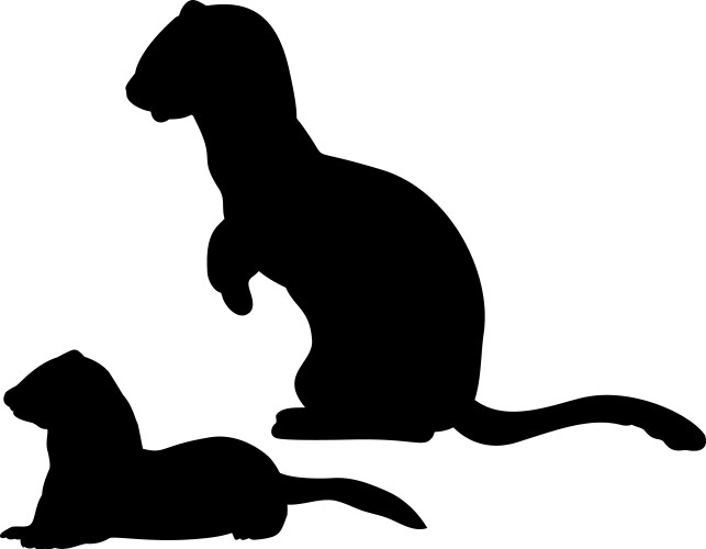 Weasel Ermine Sable Vector Images (47)