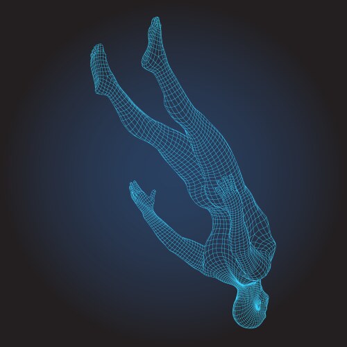 3d wireframe human body Royalty Free Vector Image