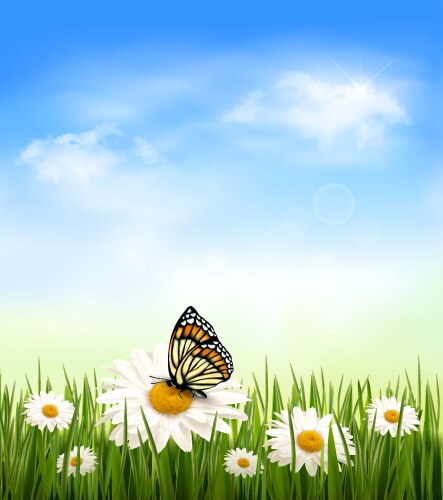 Nature background with beautiful flowers and blue Vector Image