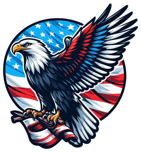 American eagle design with bald eagle like that Vector Image