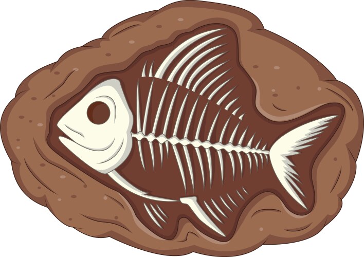 Fish bone Royalty Free Vector Image - VectorStock