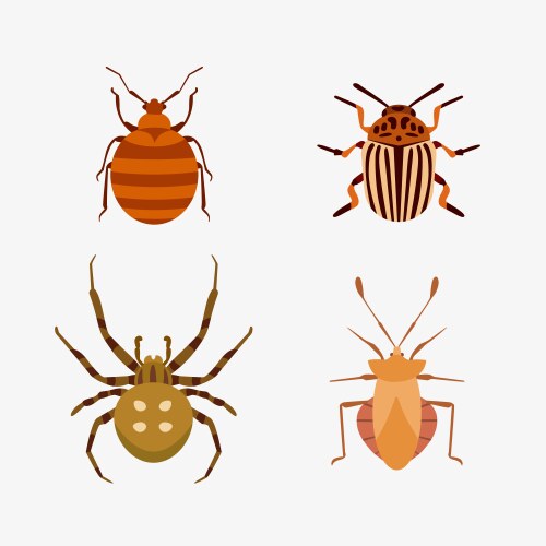 Insect fly icon flat isolated on white background Vector Image