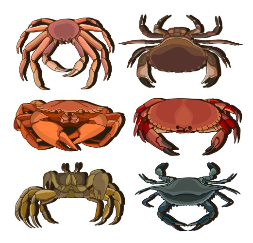 Cute Crab Vector Images (over 11,000)