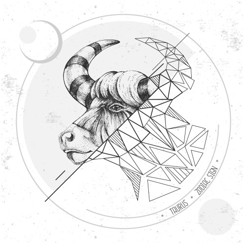 Magic card with astrology taurus zodiac sign Vector Image