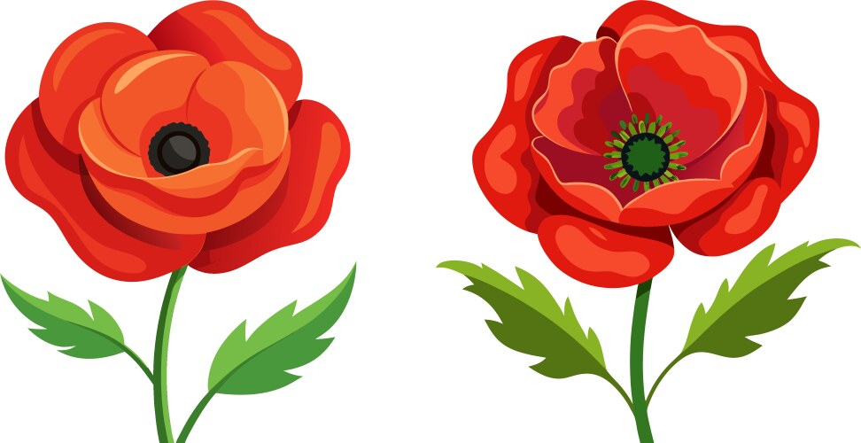 Poppy Logo Vector Images (over 2,400)