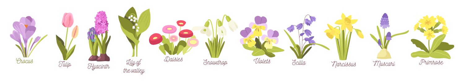 Spring Flower Cartoon Vector Images (over 100,000)