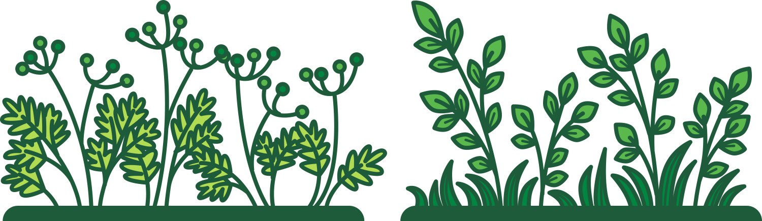 Vegetation Vector Images (over 600,000)
