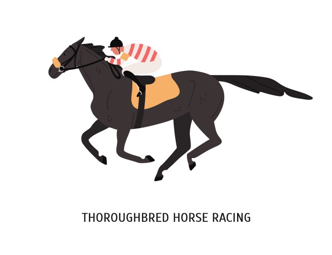 Horse racing Vector Images & Graphics for Commercial Use | VectorStock