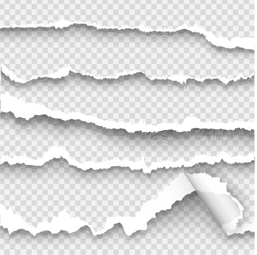 Paper Square Torn Vector Images (over 2,500)