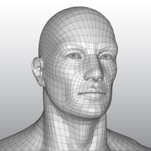 3d wireframe human body Royalty Free Vector Image