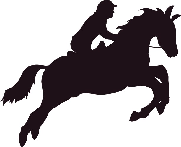 Equestrian sport women rider Royalty Free Vector Image