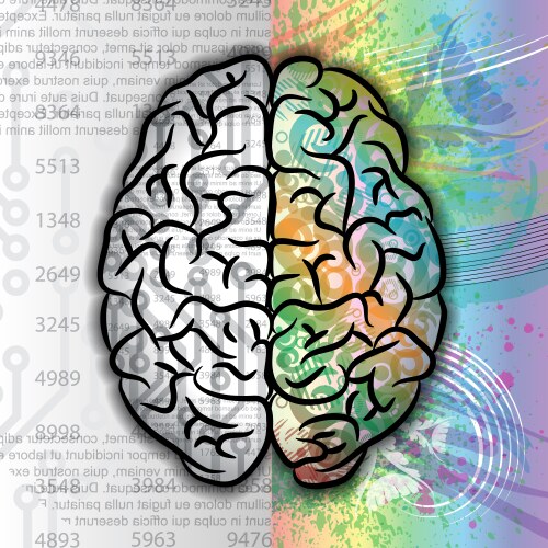Brain retro anatomic etching Royalty Free Vector Image