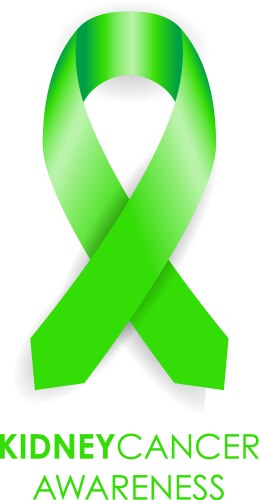 Kidney Vector Images (over 24,000)