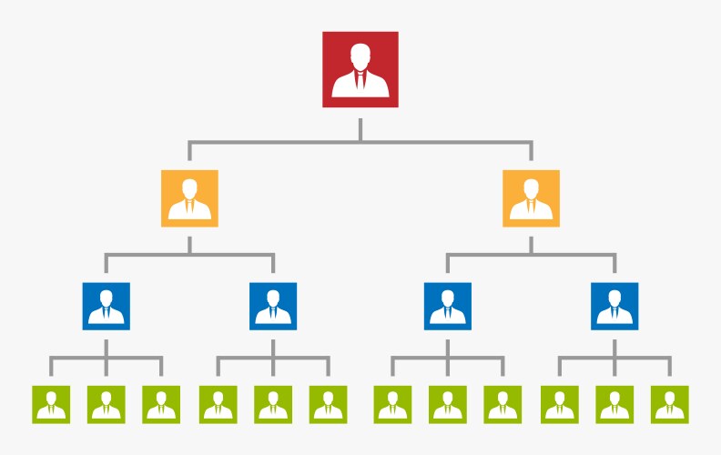 Hierarchy in company organization chart tree Vector Image