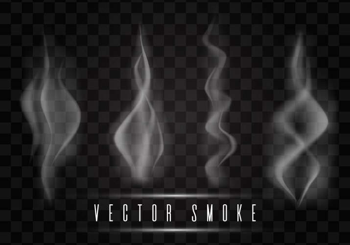 White smoke isolated on transparent background Vector Image
