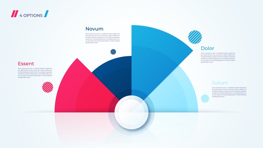 Pie chart infographic template 4 options Vector Image