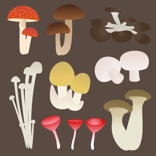 Mushroom Vector Images (over 100,000)