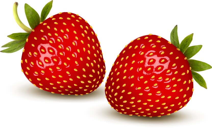Strawberry Vector Images (over 130,000)