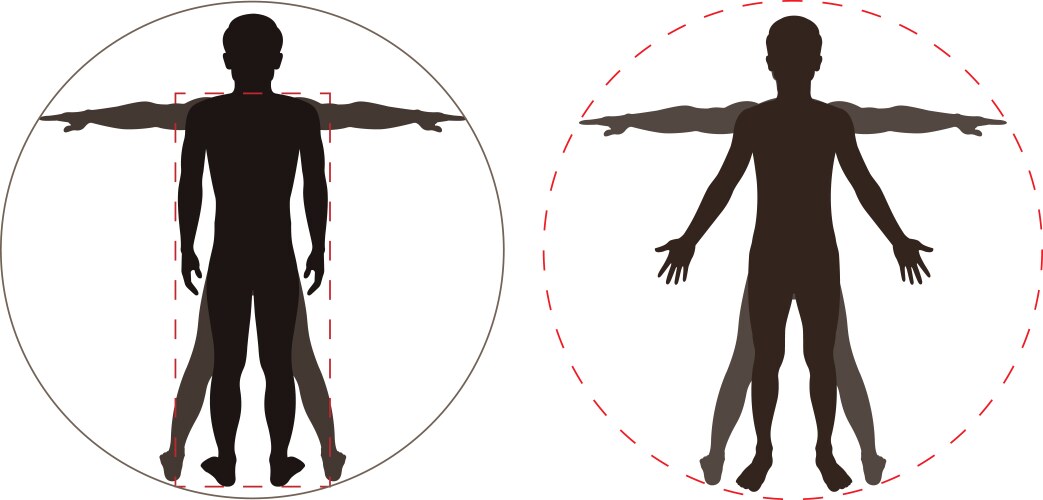 Man body parts structure Vector Images & Graphics for Commercial Use ...