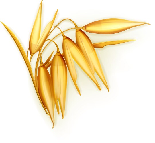 Oat Vector Images (over 18,000)