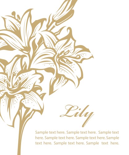 Lily Vector Images (over 48,000)