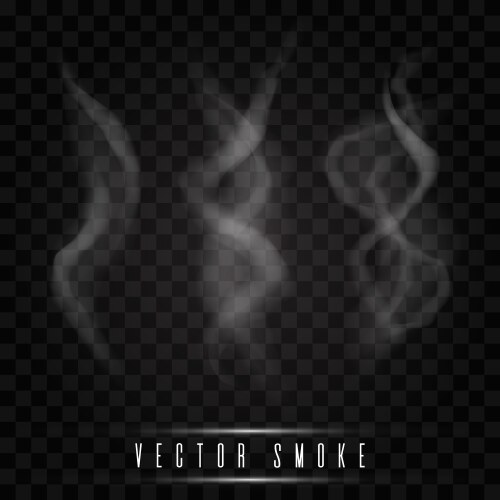 Realistic smoke Royalty Free Vector Image - VectorStock