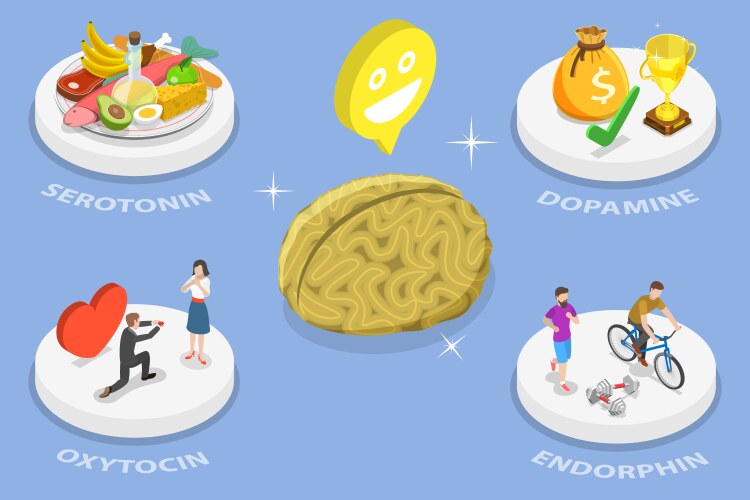 3d isometric flat conceptual Royalty Free Vector Image