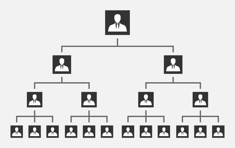 Structure and hierarchy of corporate company Vector Image